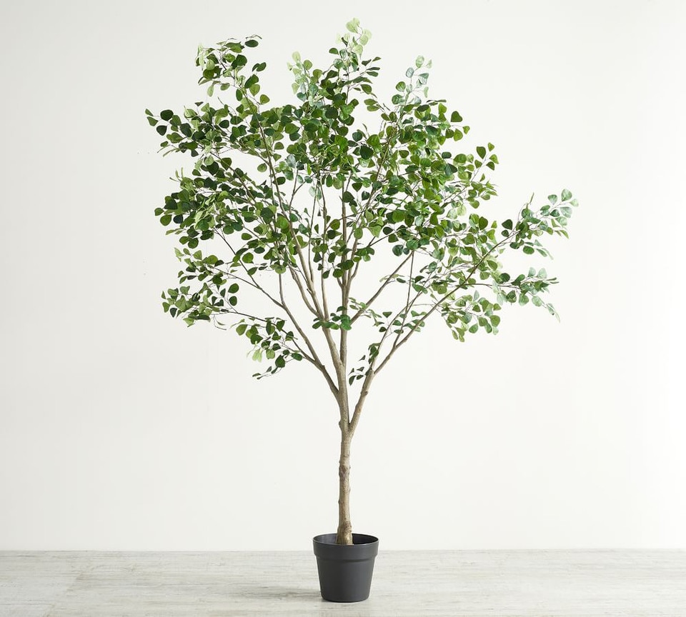 Faux Shady Lady Olive Tree | Pottery Barn UK